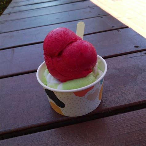 Coolas Icecreamery Halls Gap Australia Sorbet Review Abillion