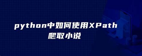 【说站】python中如何使用xpath爬取小说 编程技术 编程笔记