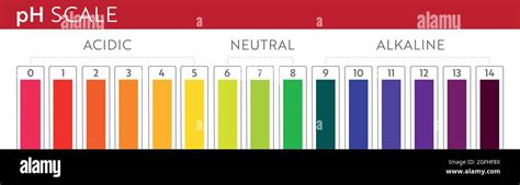 Graphique de l échelle de pH Infographie sur l équilibre acido basique