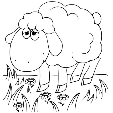 Ovejas De Dibujos Animados Con Flores Para Colorear Ovejas Para