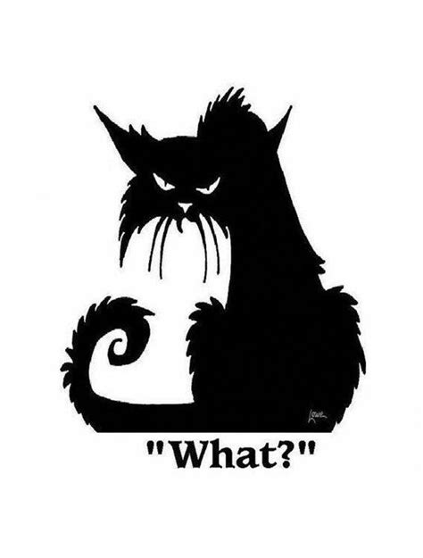 Cat Svg Black Cat Svg Peeking Cat Clipart Peeping Cat Svg Etsy Crazy
