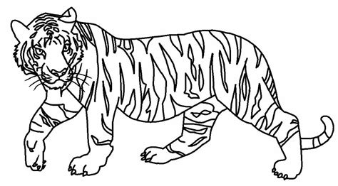 Desenhos De Tigre Para Colorir Bora Colorir