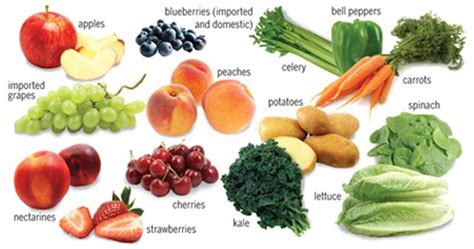 Useful List Of Fruits And Vegetables In English With Esl