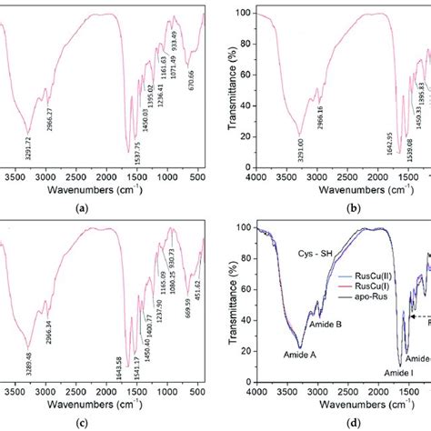 FTIR Spectrum Of The Type C Rusticyanin From A Ferrivorans A FTIR