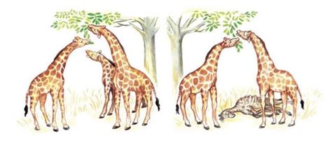 Teoria Di Darwin