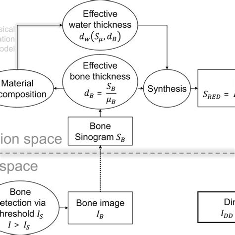 the calibration curves to convert the ct image values into red for the download scientific