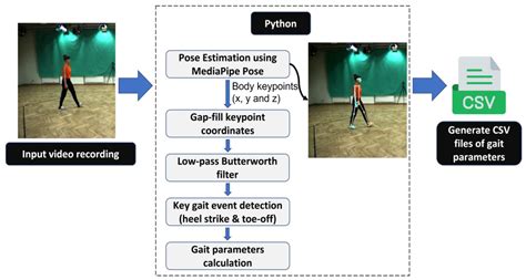 sensors free full text automated gait analysis based on a marker free pose estimation model