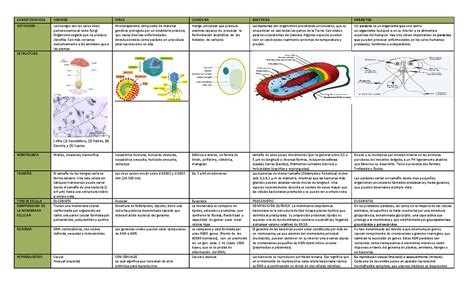 Cuadro Comparativo De Microbiologia CARACTERISTICAS HONGOS VIRUS