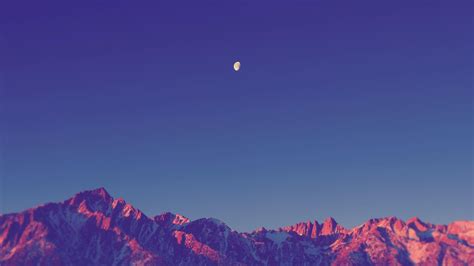 Minimalist Nature 1920x1080 Wallpaper