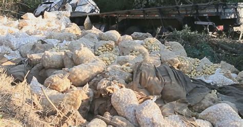 G1 Caminhão carregado batatas tomba em Poços de Caldas MG