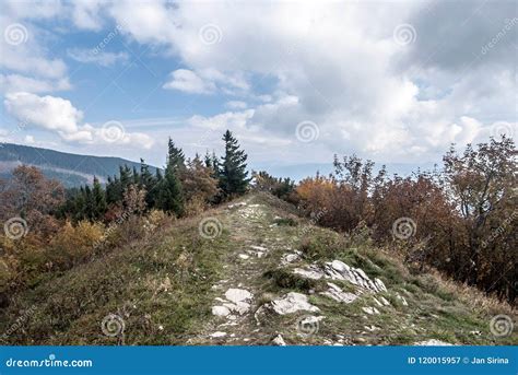 Kozi Chrbat Highest Hill Of Starohorske Vrchy Mountain Range In