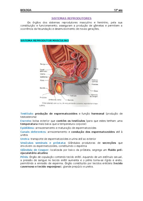 Resumo reproducaohumana SISTEMAS REPRODUTORES Os órgãos dos sistemas