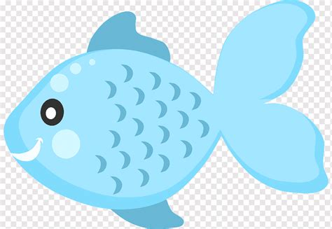 Pez globo mar azul mamífero marino animales png PNGWing