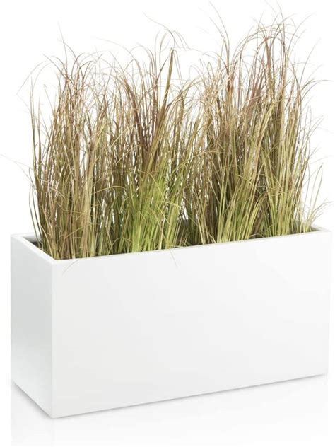 Meilleurs Pots De Fleurs XXL Avis Et Comparatif 2021
