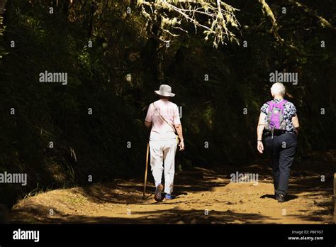 People Walking On The Network Of Levadas Water Channels Which Cross