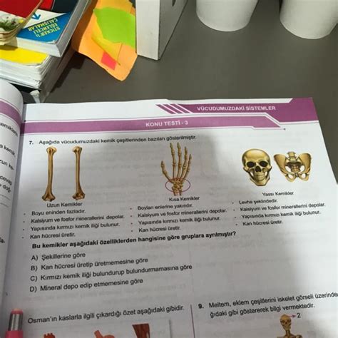 Konu Test A A Da V Cudumuzdaki Kemik E Itlerinden Baz Lar