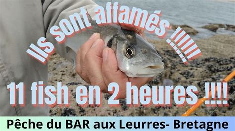 Pêche du Bar aux Leurres en Bord de Mer YouTube