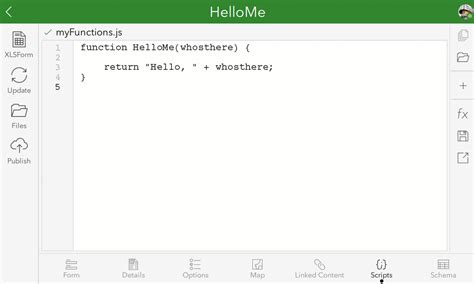 custom javascript functions in survey123