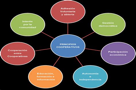 Qu Es Una Cooperativa Y Qu Tipos De Cooperativa Existen