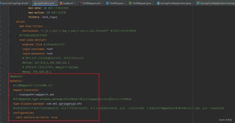 springboot 用dynamic datasource spring boot starter配置druid多数据源 dynamic datasource spring boot