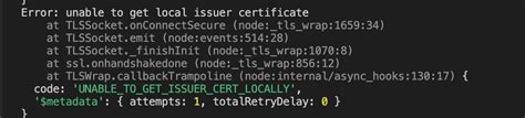 Next js UNABLE TO GET ISSUER CERT LOCALLY 오류가 발생할 때
