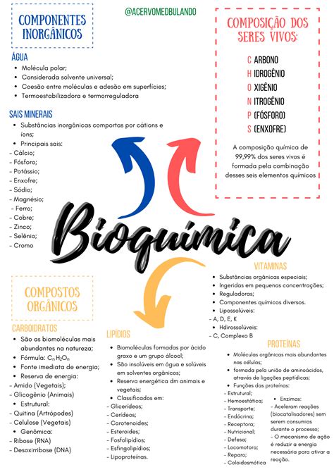 Introdu O A Bioquimica Mapa Mental Mapa Meta The Best Porn Website