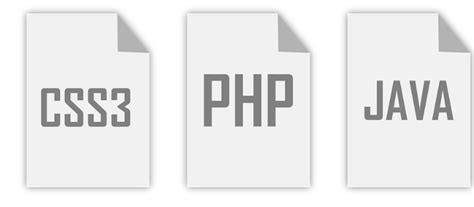 mengulik perbedaan java dan javascript domainesia
