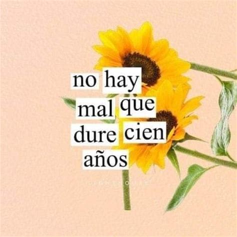 Total 32 imagen no hay mal que dure cien años frases Abzlocal mx