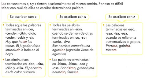 TOMi Digital Uso De La C S Y Z