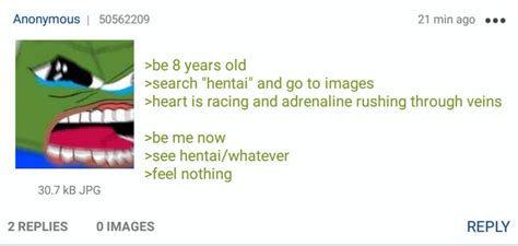 Anon Watched Too Much Hentai Rgreentext