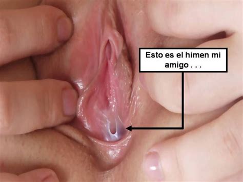Vaginas Rasuradas Telegraph