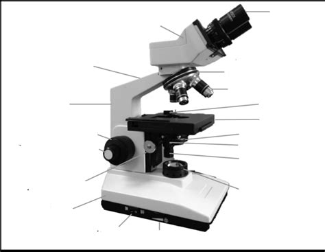 Microscope Diagram Quizlet