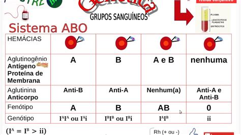 Tabela De Tipo Sanguineo Sololearn