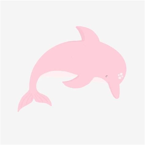 Delfín Rosa Animal Delfín PNG dibujos Imágenes Prediseñadas De