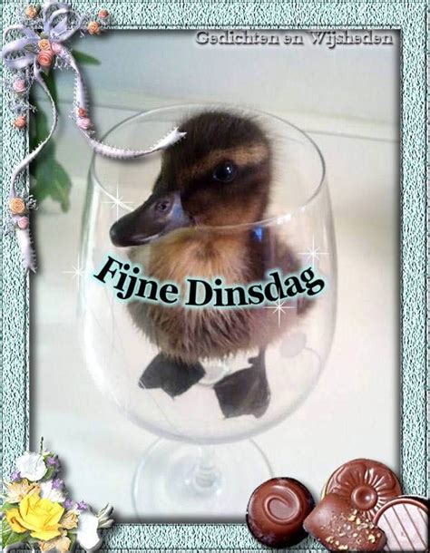 61 Dinsdag Plaatjes Met Berichten En Citaten Dinsdag Fijne Dinsdag