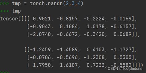 pytorch中nn softmax的dim 1和dim 2的操作 dim1和dim2 csdn博客