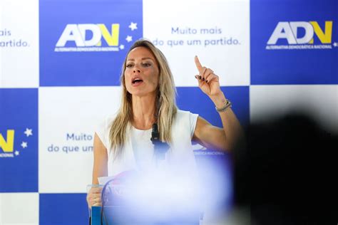 ADN ultrapassa PAN que falha eleição de novo mandato SIC Notícias