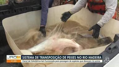 Jornal de Rondônia 1ª Edição Piracema projeto visa preservar