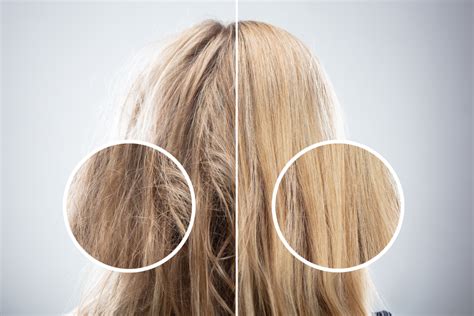 Guía definitiva para reparar el cabello dañado Vanart