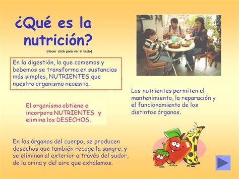 Que Es La Nutricion Dinami