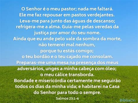 Salmo 23 completo explicação versículo a versículo Bíblia