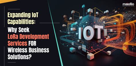 expanding iot capabilities why seek lora development services for wireless business solutions