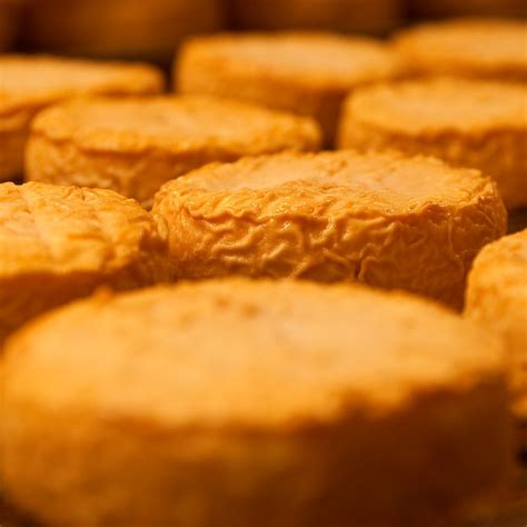 Notre Top Des Fromages De Bourgogne La Bourgogne