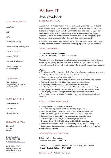 Java Developer Curriculum Vitae Allbusinesstemplates