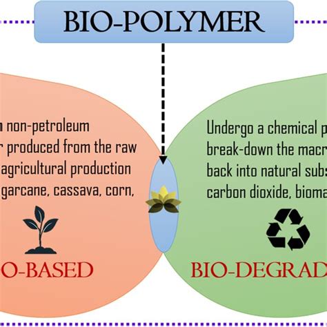 Schematic Representation Of Bio Polymer Bio Based Polymer And