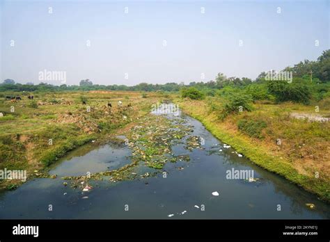 Journée de contrôle de la pollution rivière polluée par le plastique