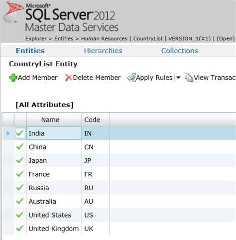 sql server business intelligence master data management