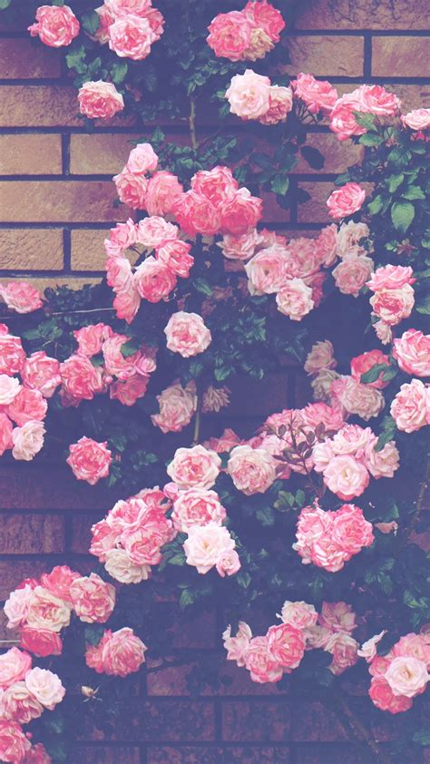 Hipster Flower Backgrounds Images