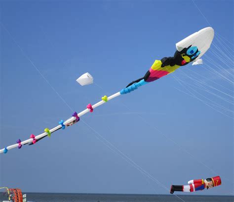 Cerfs Volants Berck Sur Mer