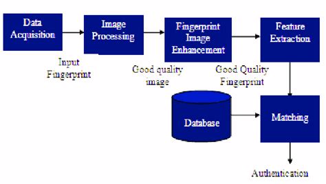 architecture of fingerprint verification system download scientific diagram